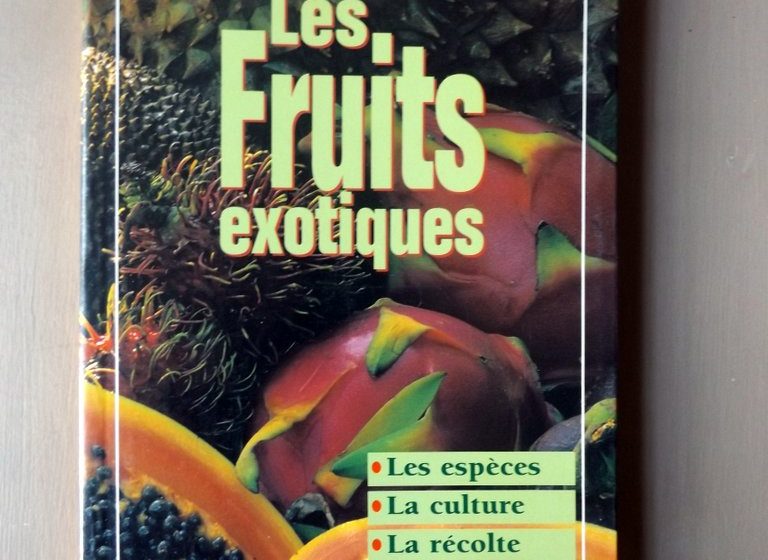 Le Festin de Babette – "Le Festin de Babette" – bouquinerie gastronomique